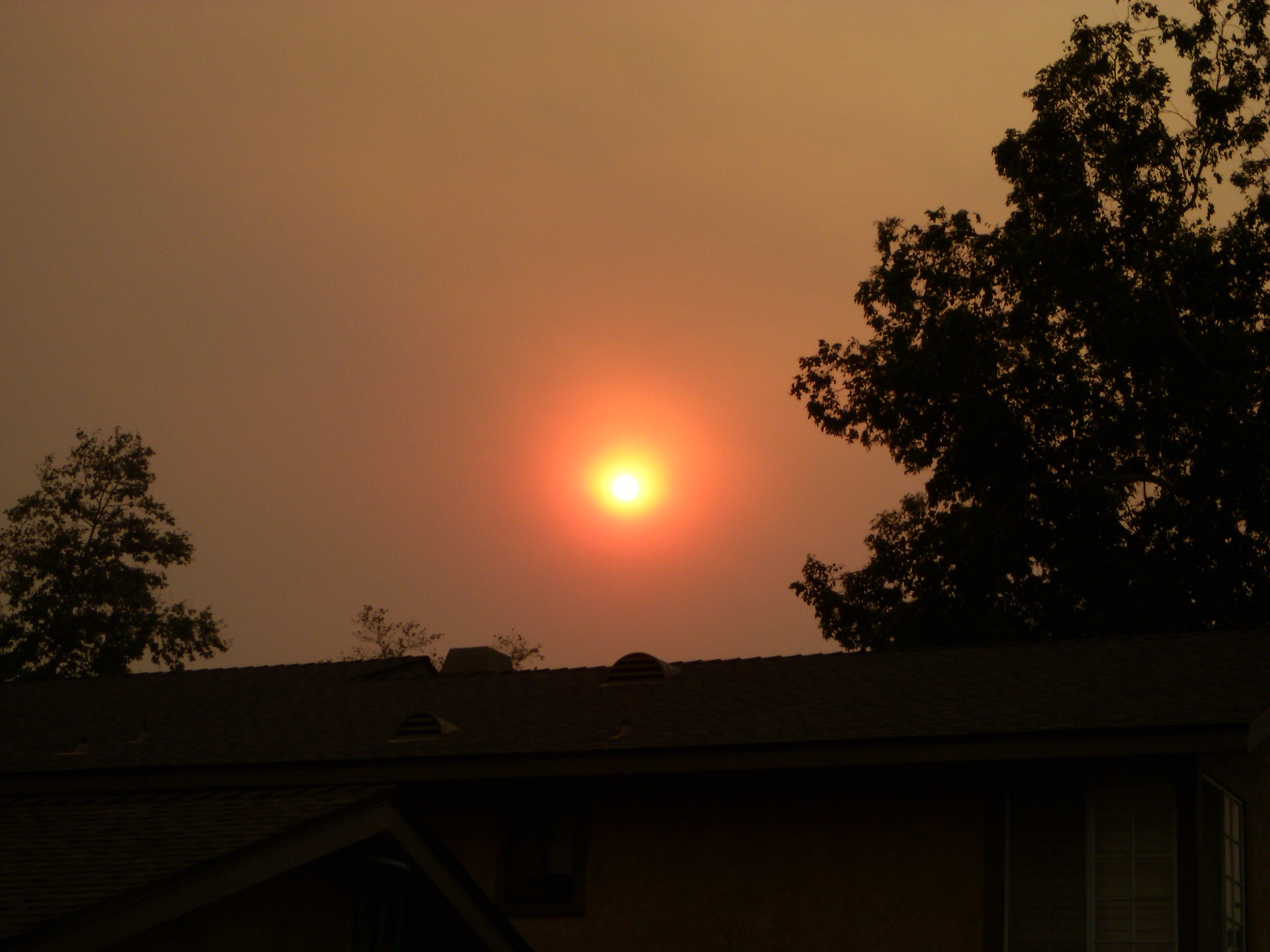 redsunfires - Richard Geib